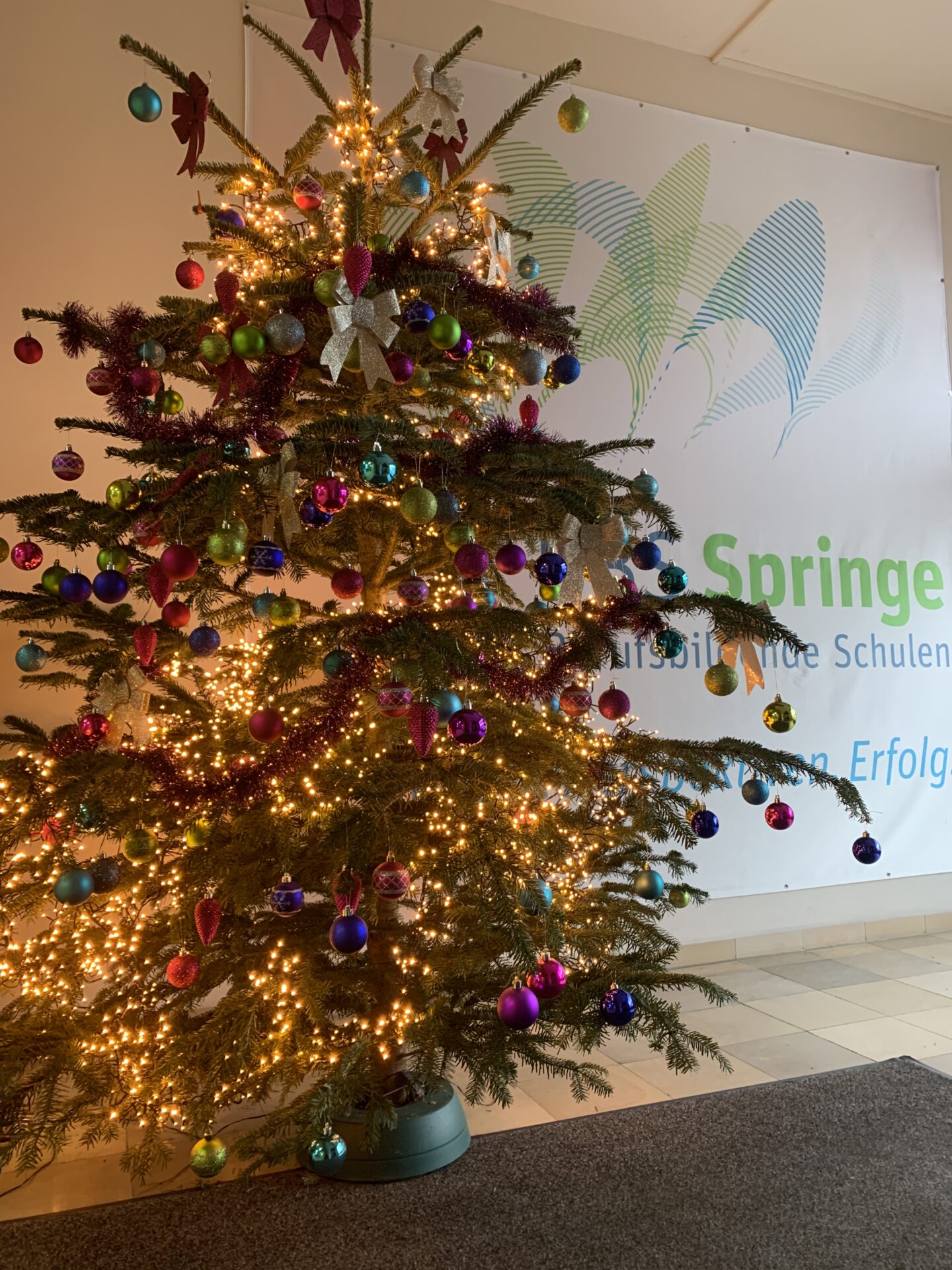 Die BBS Springe wünscht allen ein schönes Weihnachtsfest und einen ...